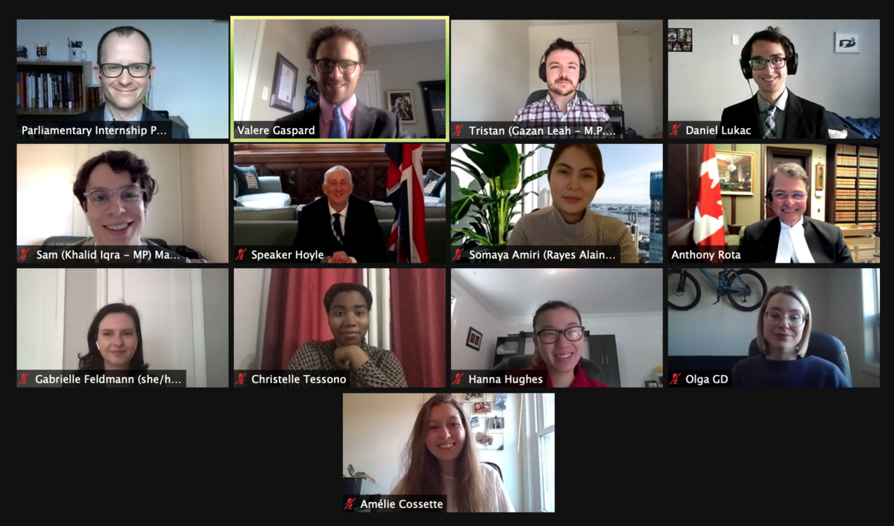 Why the Parliamentary Internship Programme? | PIP